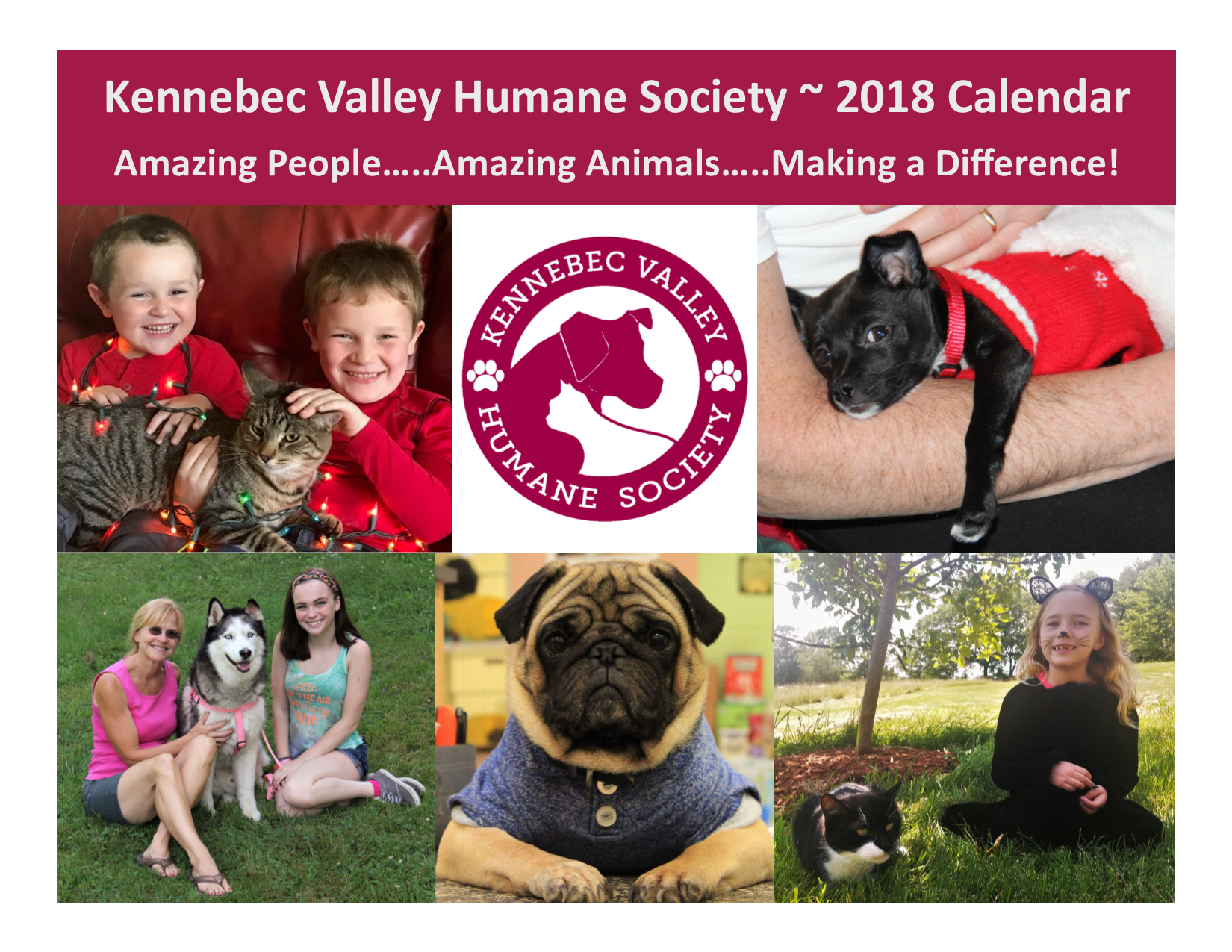 Purchase a 2018 KVHS Calendar and help animals in need! - KVHS
