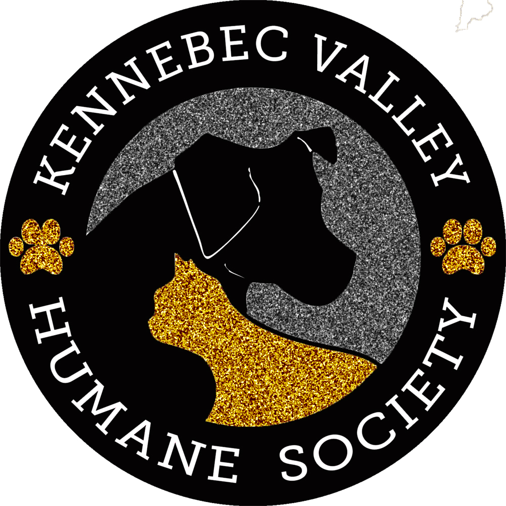 2017 Impact Report - KVHS